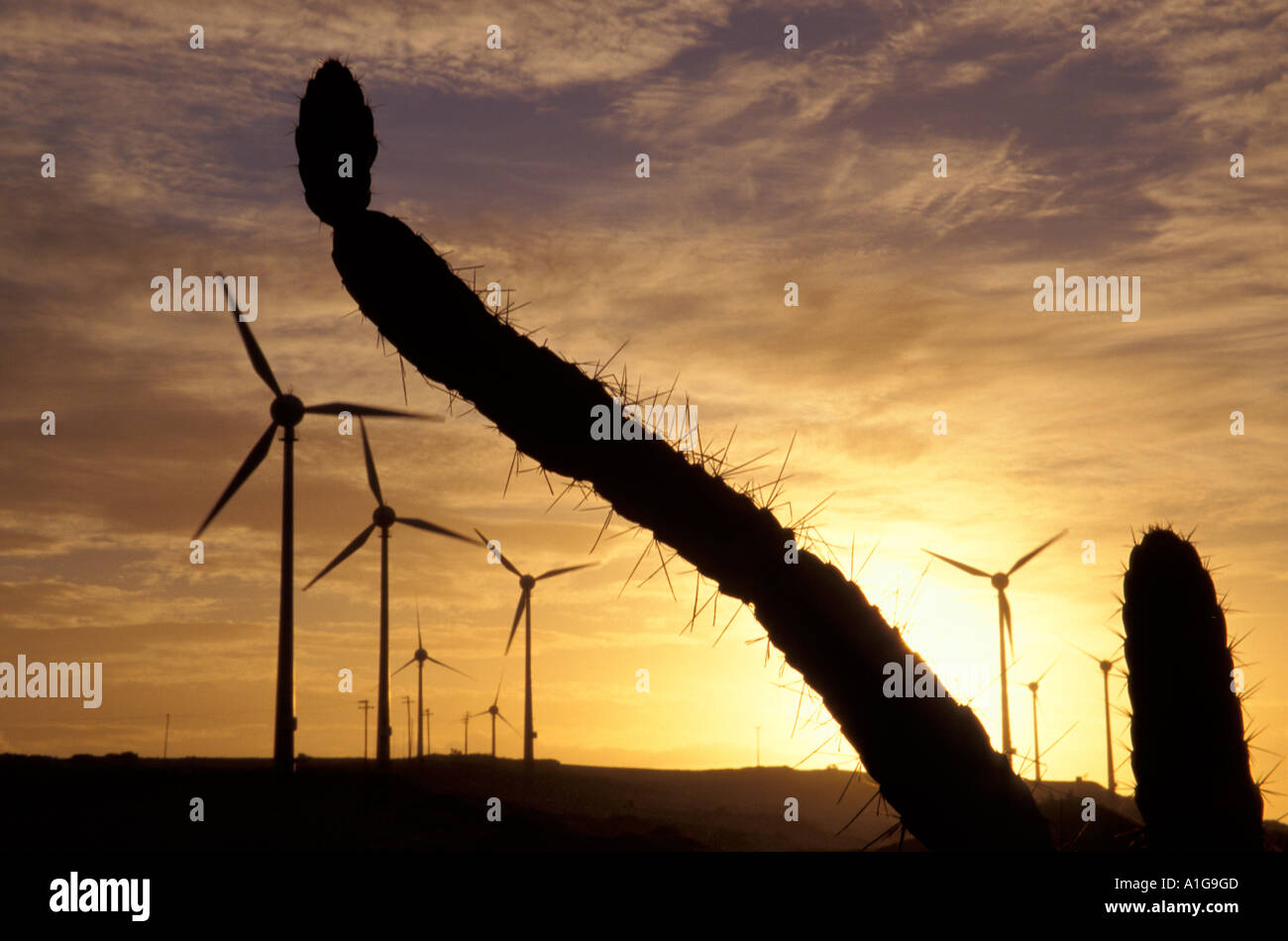 Wind farm 10 MW (one of the earliest wind farms in Brazil) among ...