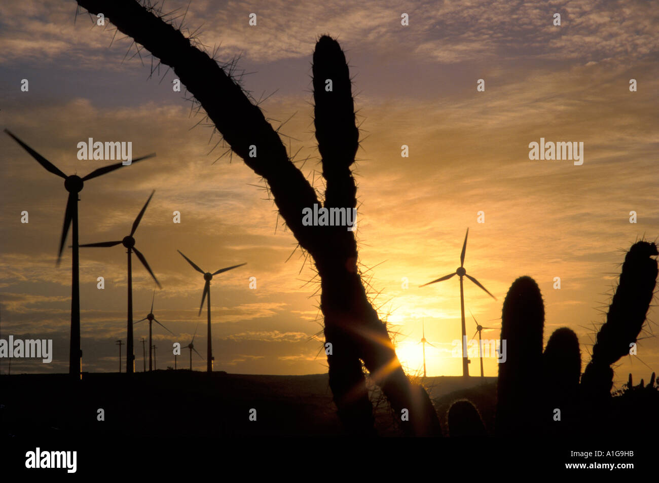 Eolian energy: wind farm 10 MW at sunset near Fortaleza, Ceara, Brazil ...