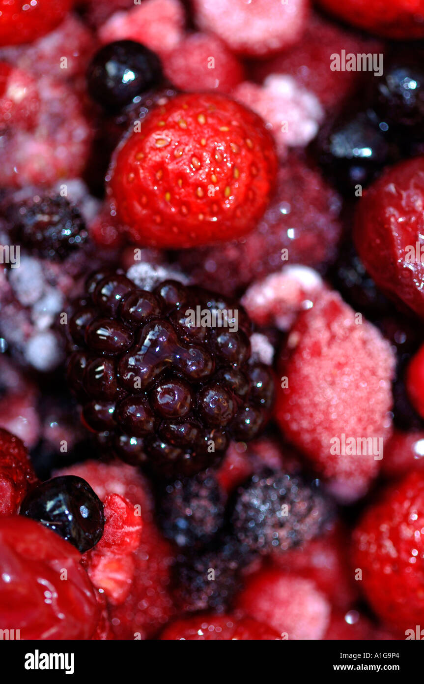 Fruits of the forrest hi-res stock photography and images - Alamy