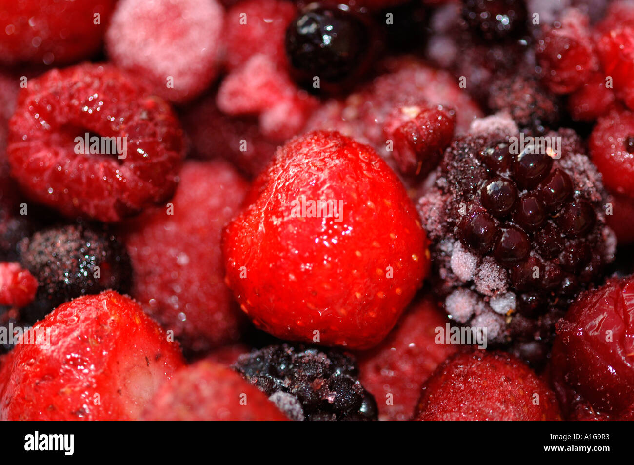 Fruits of the forrest hi-res stock photography and images - Alamy