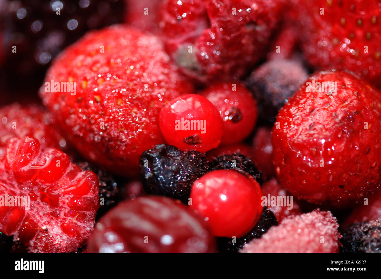 Fruits of the forrest hi-res stock photography and images - Alamy