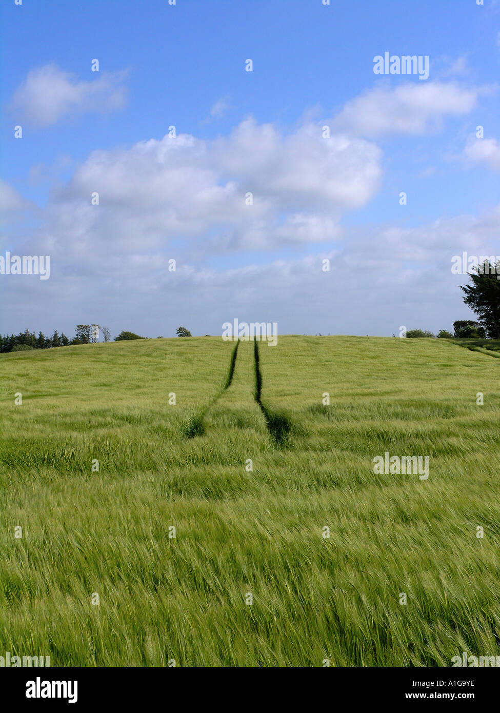 Farming tracks hi-res stock photography and images - Alamy
