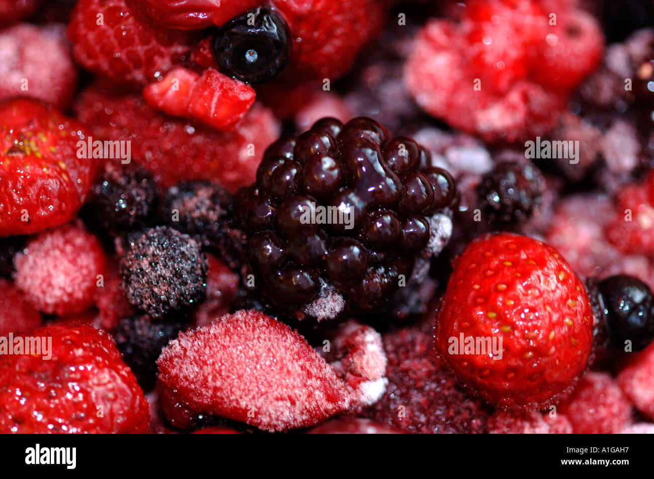 Fruits of the forrest hi-res stock photography and images - Alamy