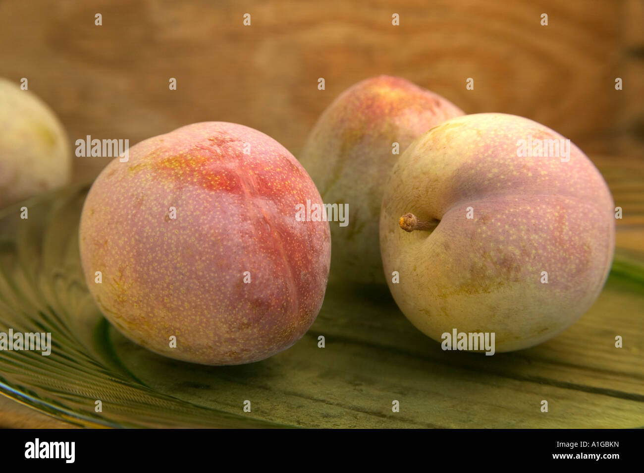 Harvested plums 'Elephant Heart' Stock Photo - Alamy