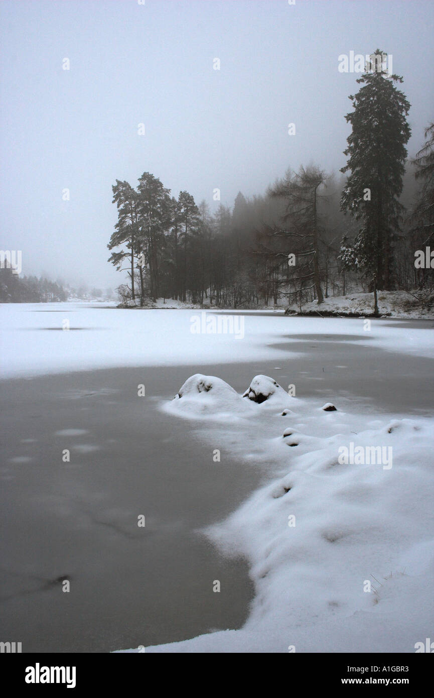 frozen water ice and snow at tarn hows a small lake in the English Lake ...