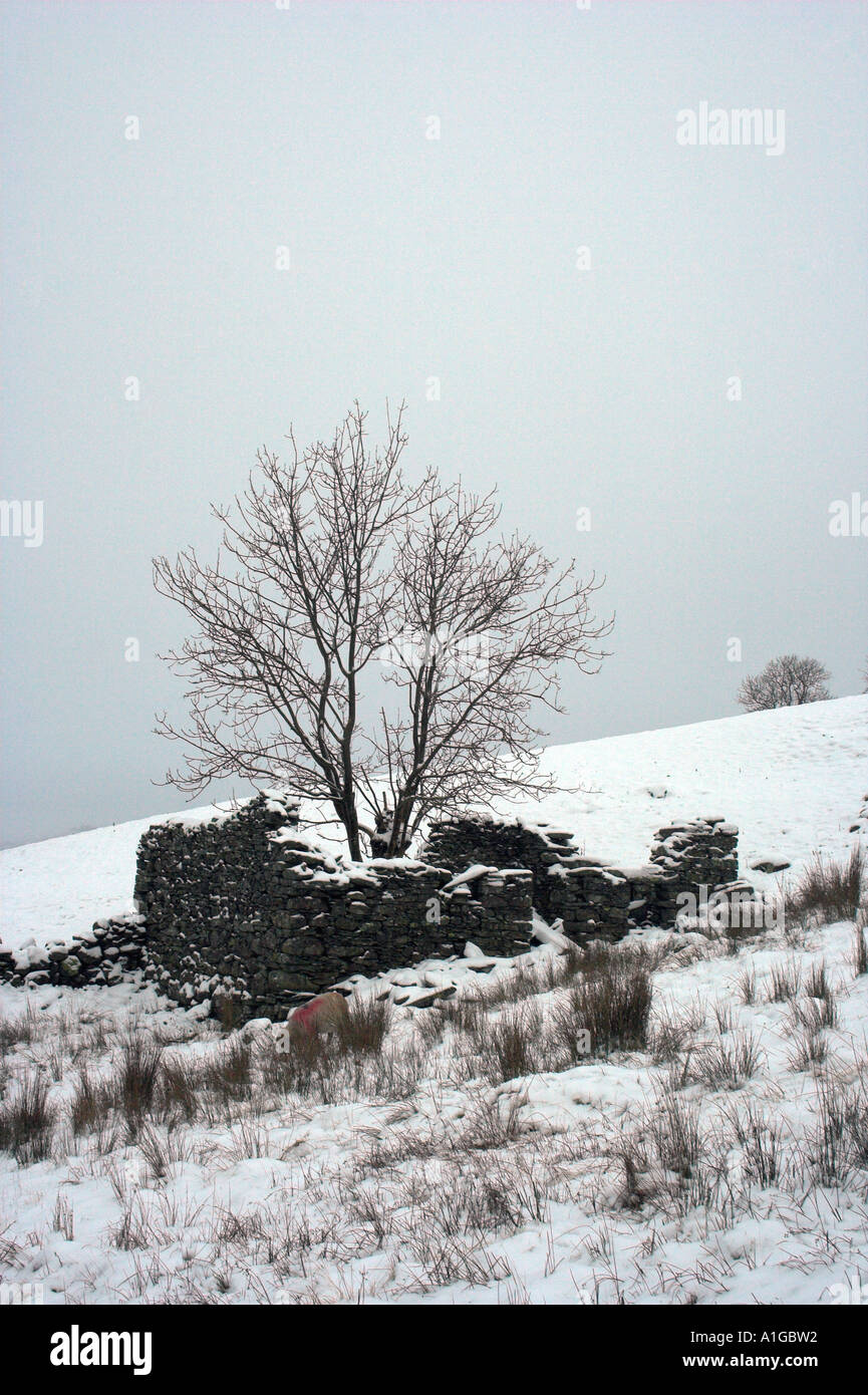 Stone sheep fold hi-res stock photography and images - Alamy