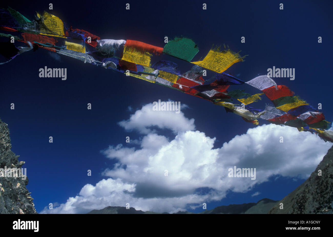 Himalayan Prayer Flags Stock Photo - Alamy