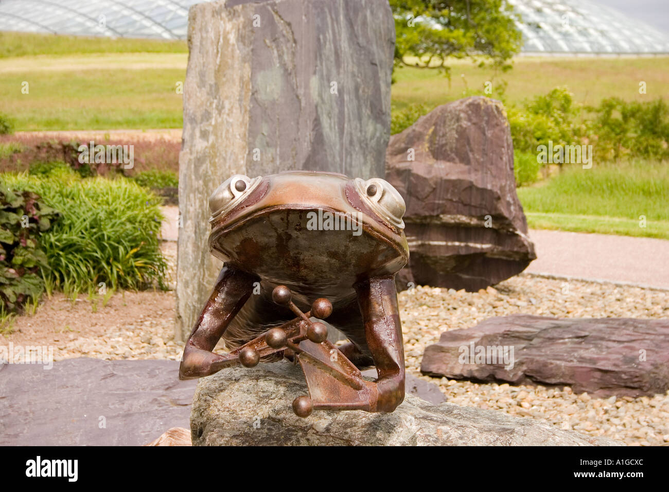 Metal sculpture of frog Wales Botanic Gardens, Llanarthne, S Wales UK ...