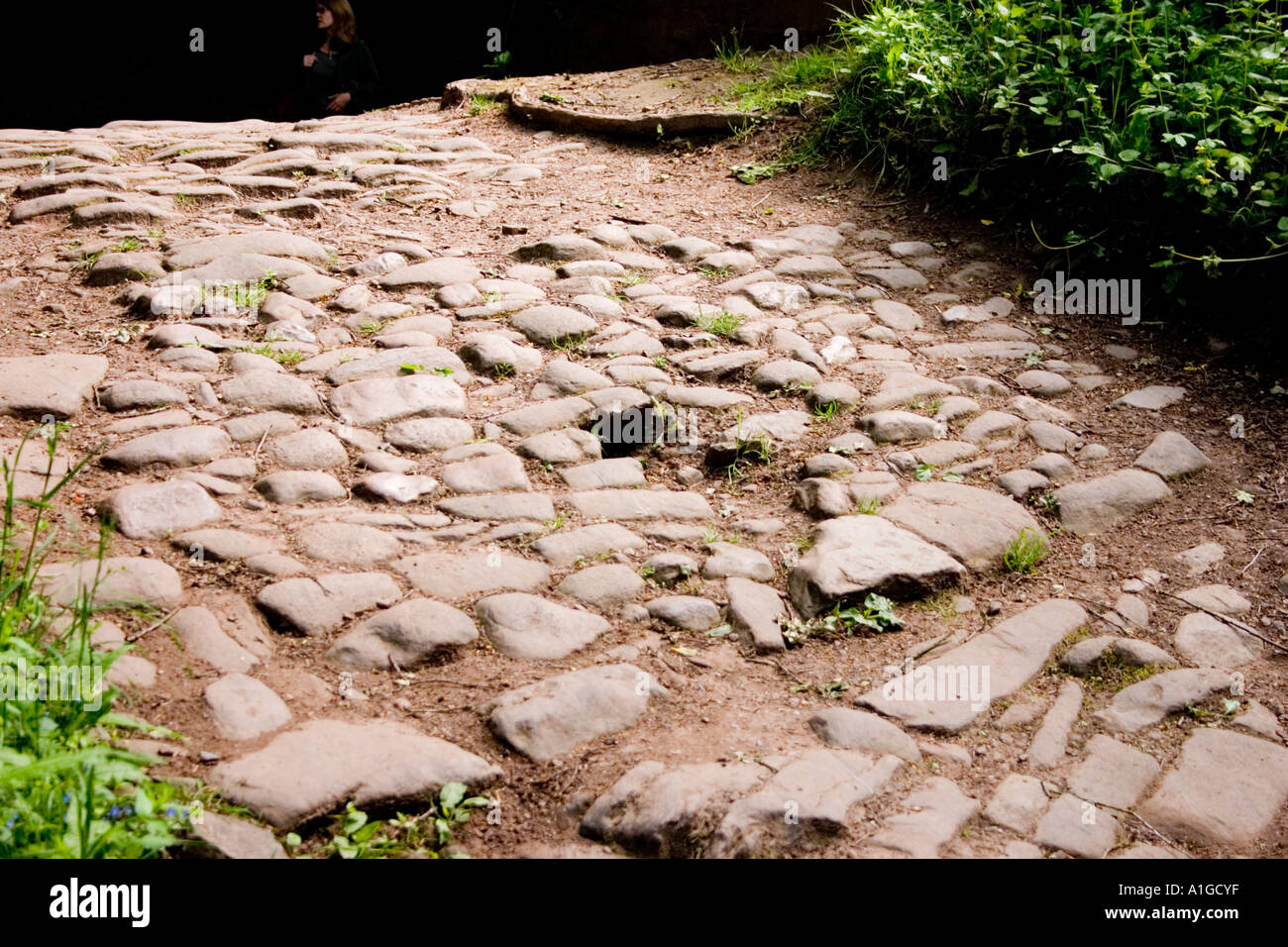 Old stone bridge over canal Llanfoist SE Wales UK Stock Photo - Alamy