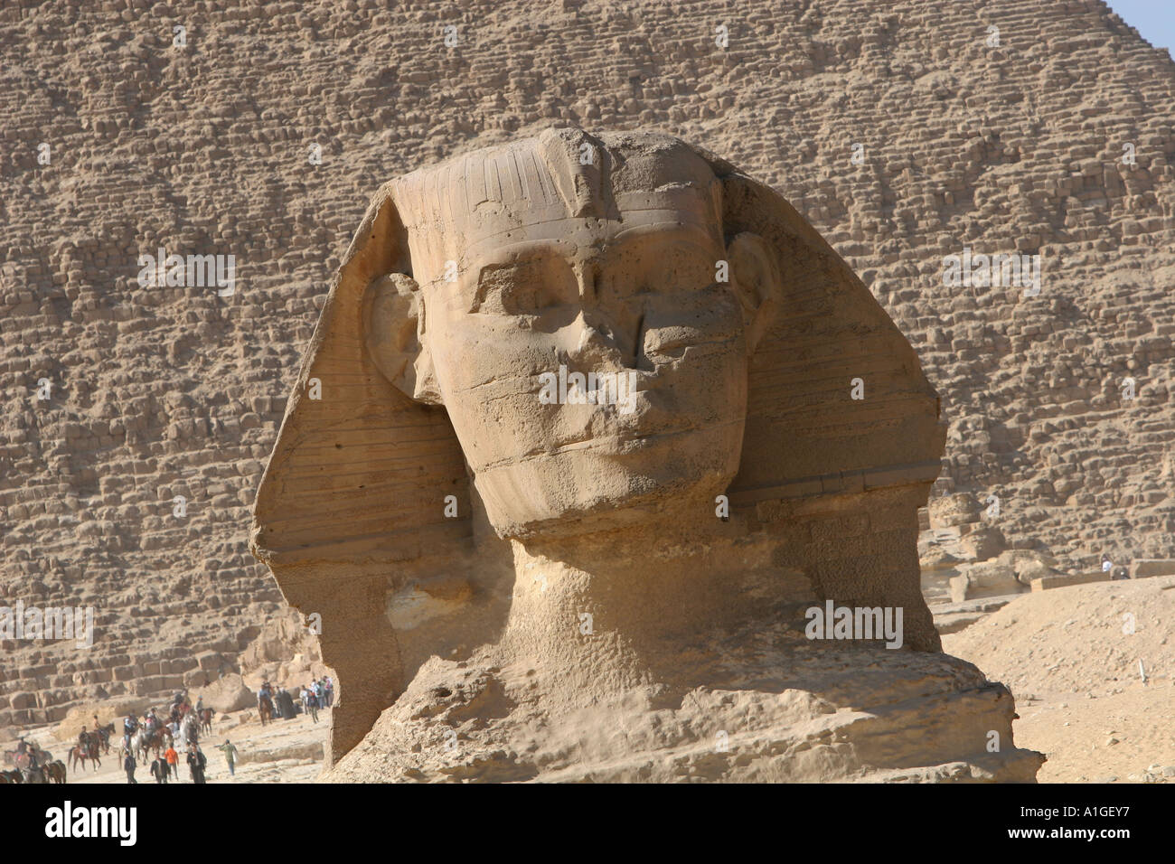 The Sphinx in Egypt located close to the great pyramids of Giza Stock ...