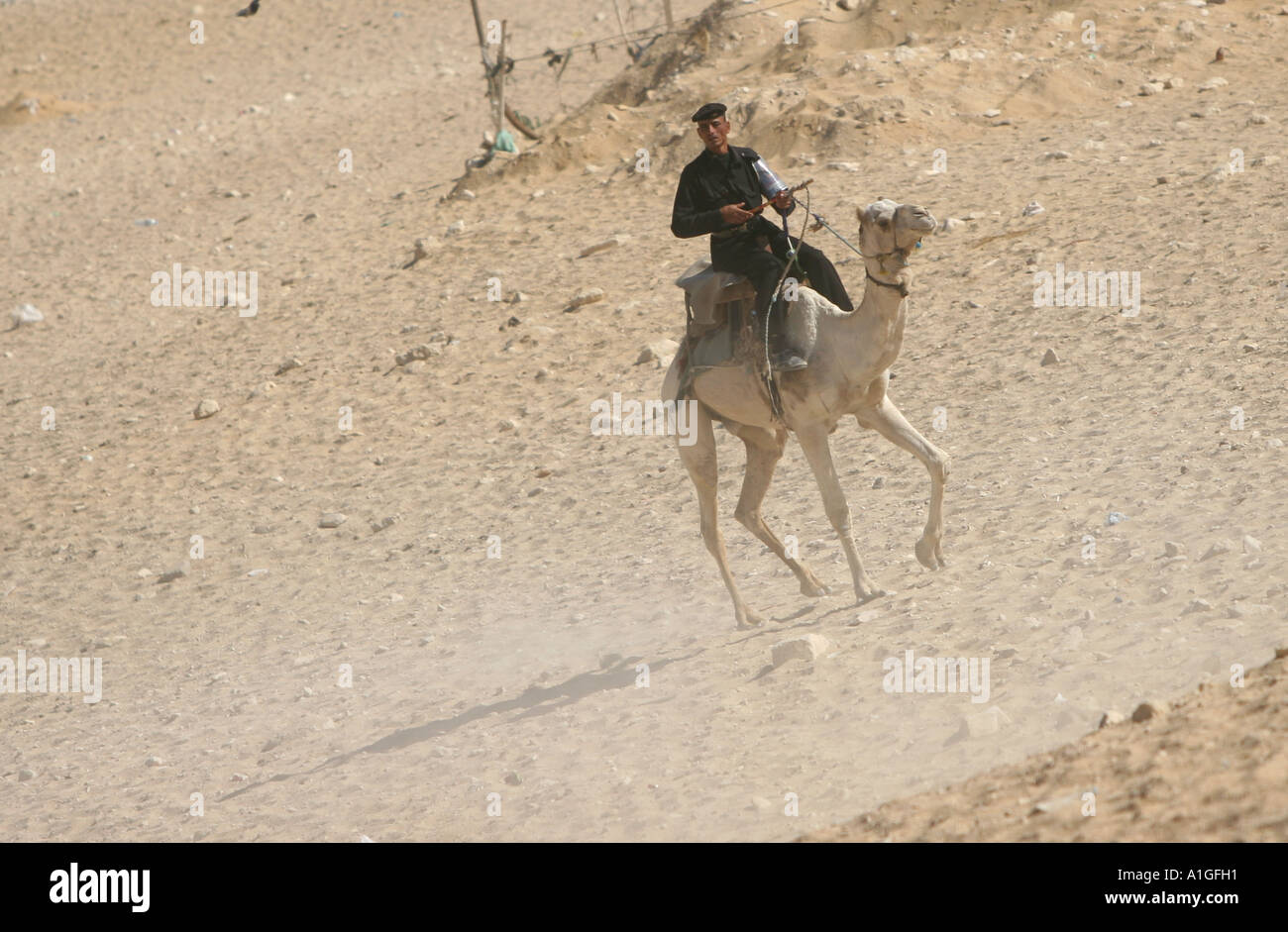 Egypt cairo pyramids tourist police hi-res stock photography and images ...