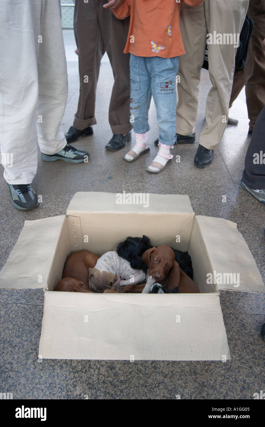 Chinese homeless child hi-res stock photography and images - Alamy