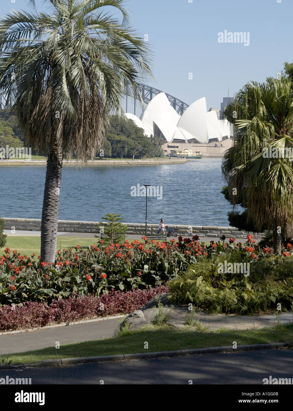 VIEW OF THE OPERA HOUSE FROM THE ROYAL BOTANICAL GARDENS SYDNEY NEW ...