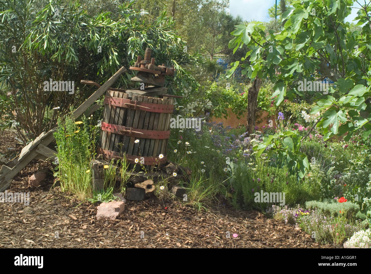 The 4head Garden at Chelsea Flower Show 2005 designed by Marney Hall A ...