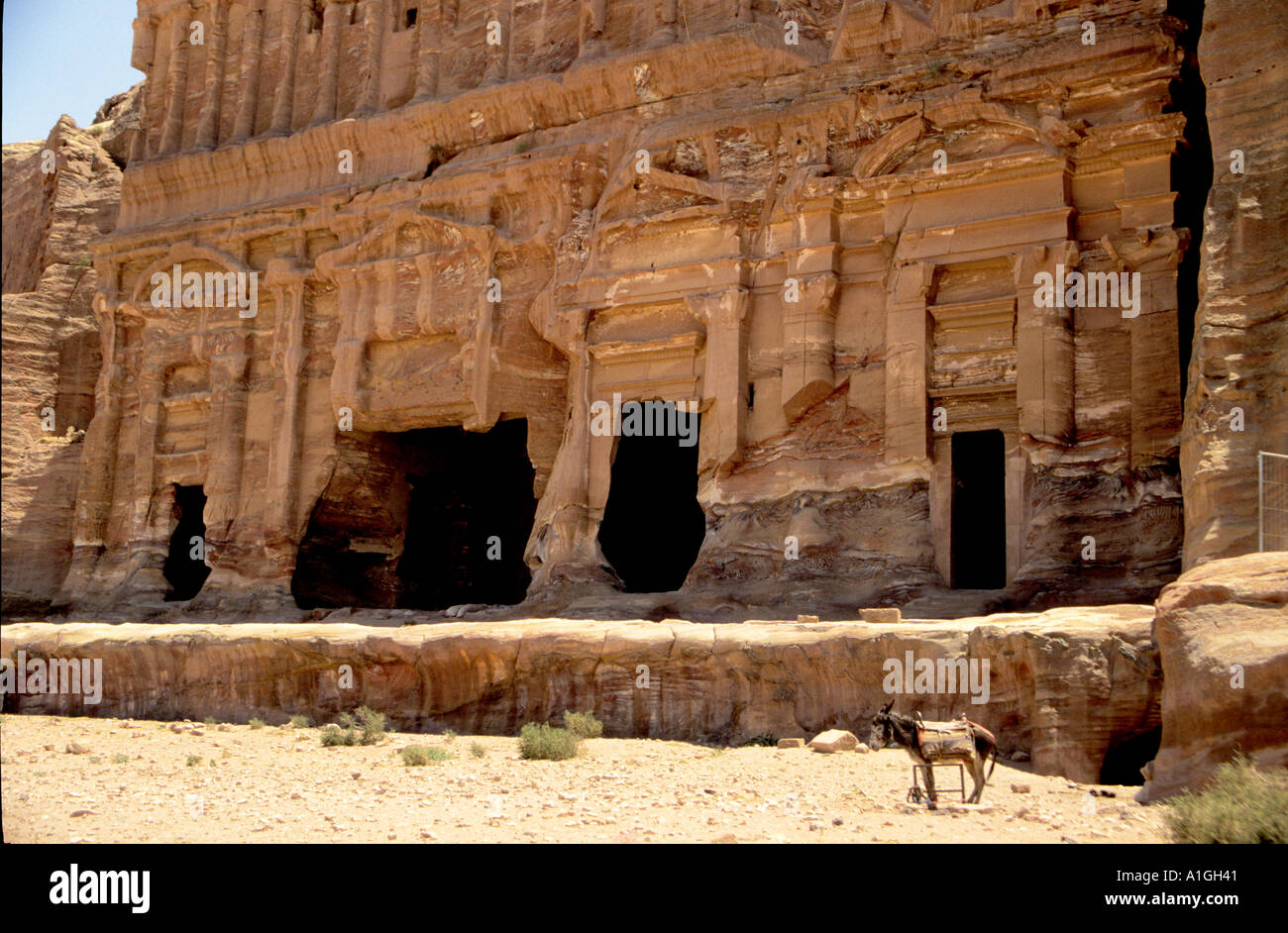 Beautiful rose colored stone formations to be found at Petra world ...