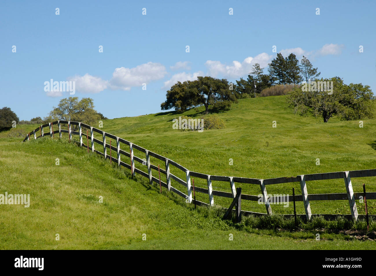 Green hills in santa hi-res stock photography and images - Alamy