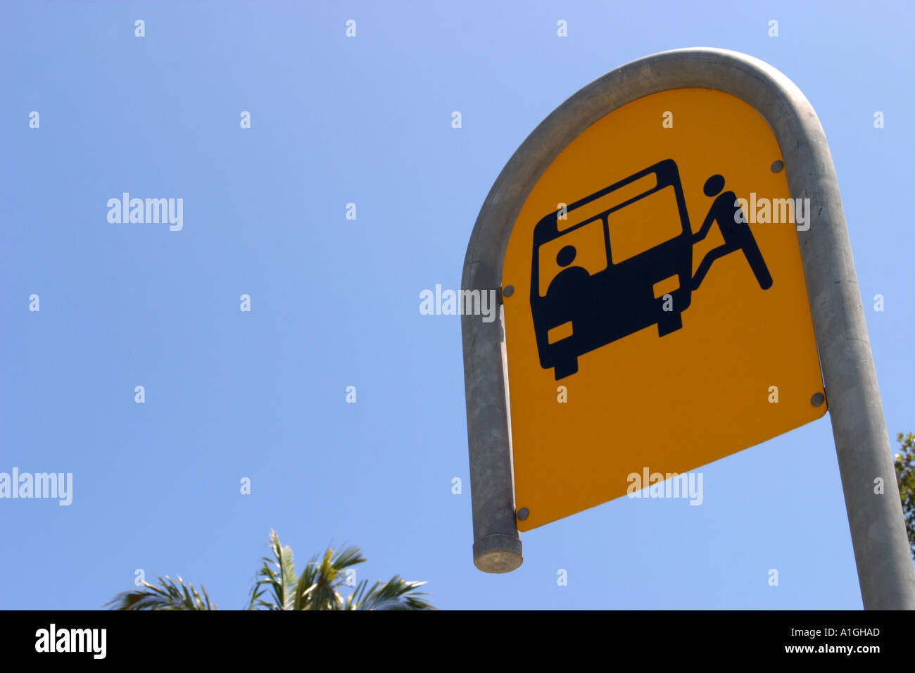 Bus stop sign Sydney Australia Stock Photo - Alamy