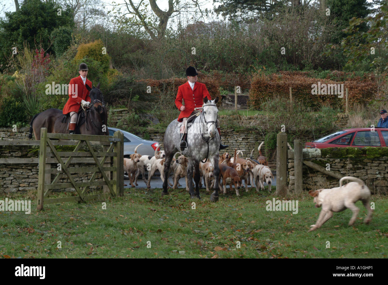 Derwent Hunt meet at Wykeham Village North Yorkshire UK Stock Photo - Alamy