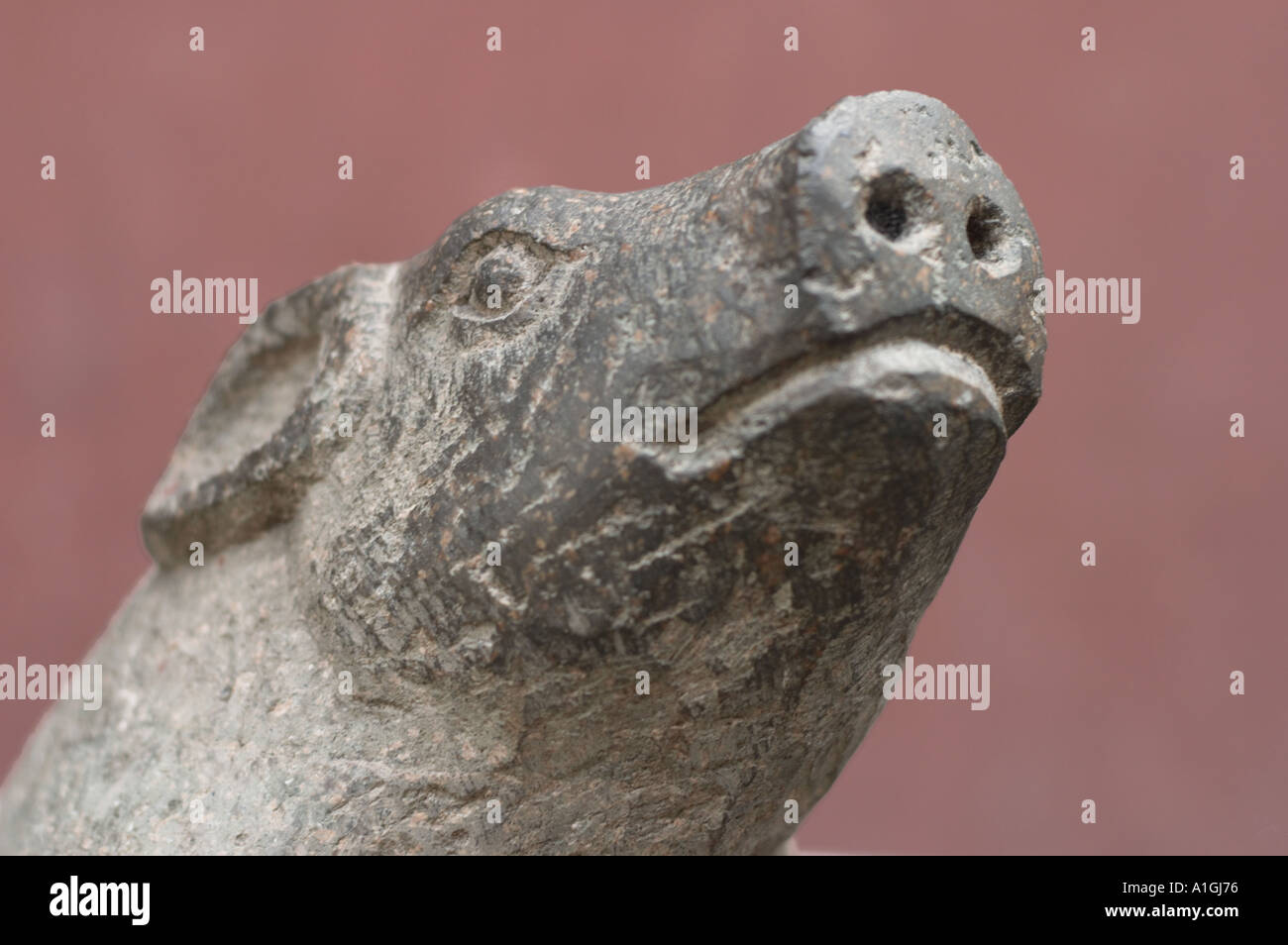 stone statue of a pig in shanghai china Stock Photo - Alamy
