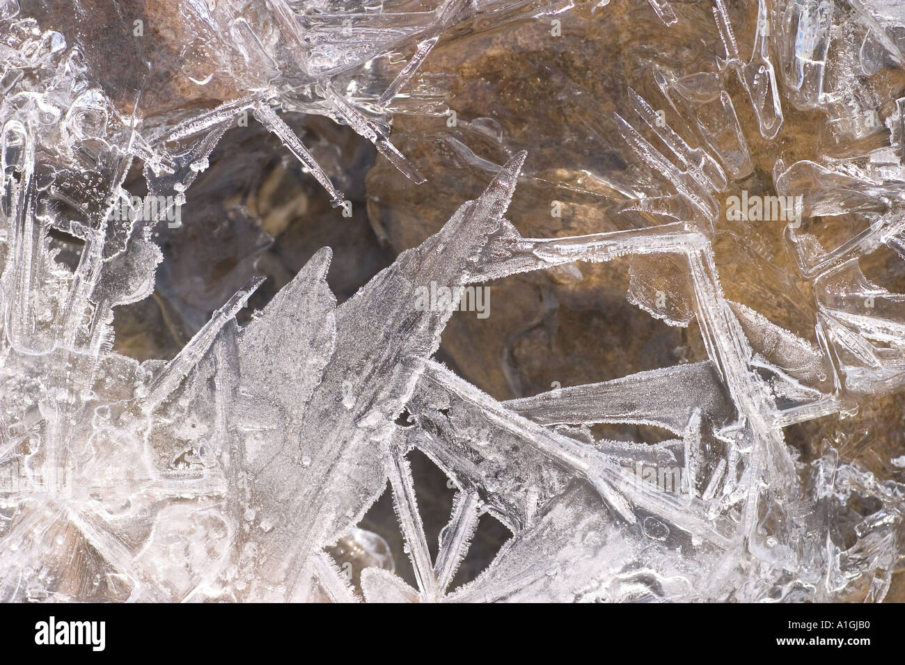 Frozen frost meltdown hi-res stock photography and images - Alamy