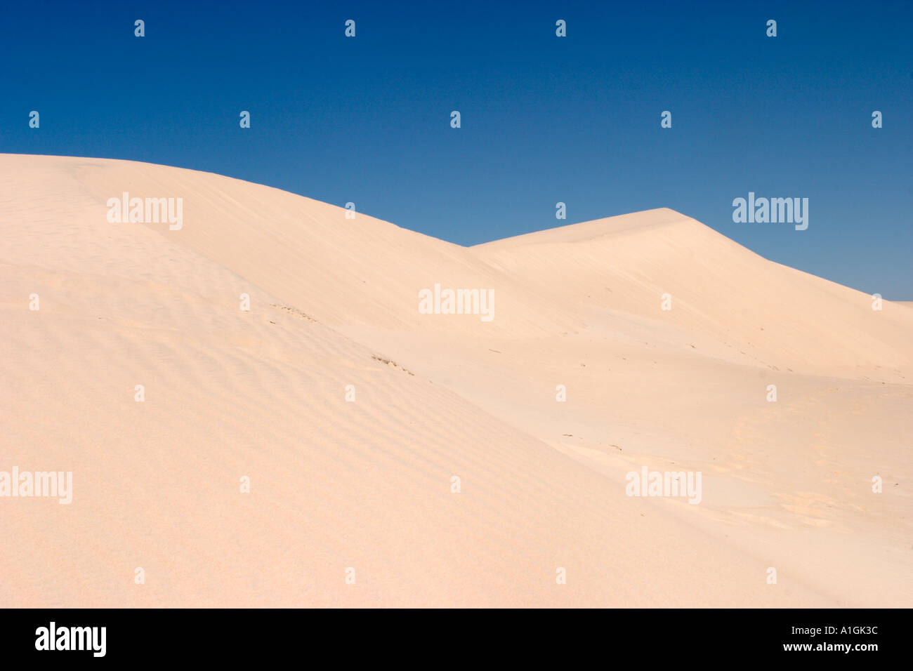 Sand dunes at Port Gibbon Stock Photo - Alamy