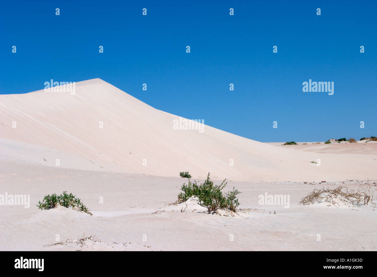Sand dunes at Port Gibbon Stock Photo - Alamy