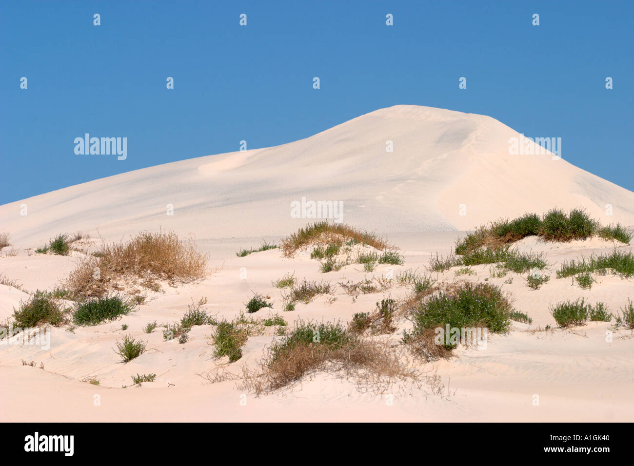 Sand dunes at Port Gibbon Stock Photo - Alamy