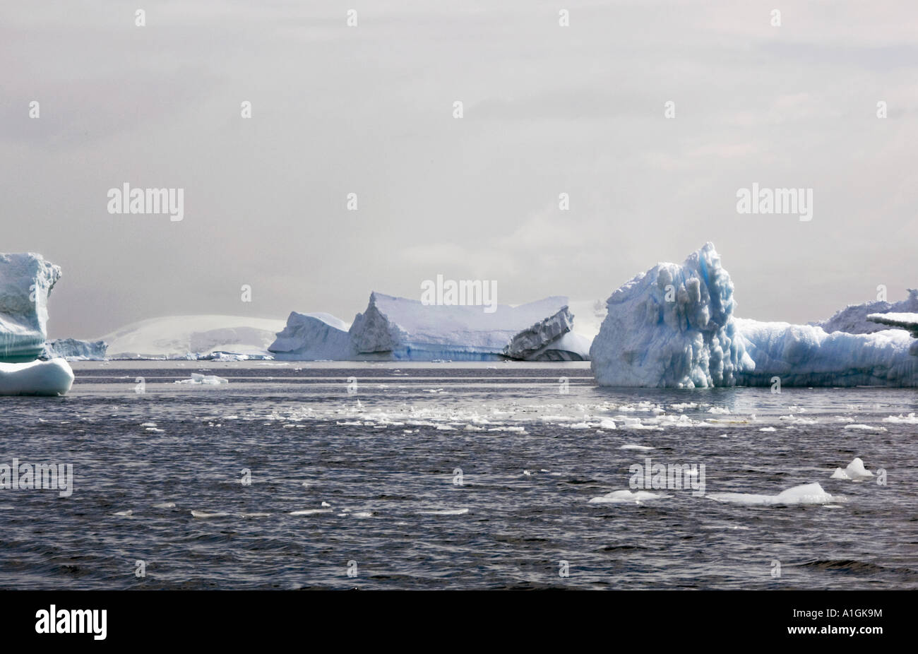 Blue icebergs floating in Antarctic Ocean Stock Photo - Alamy