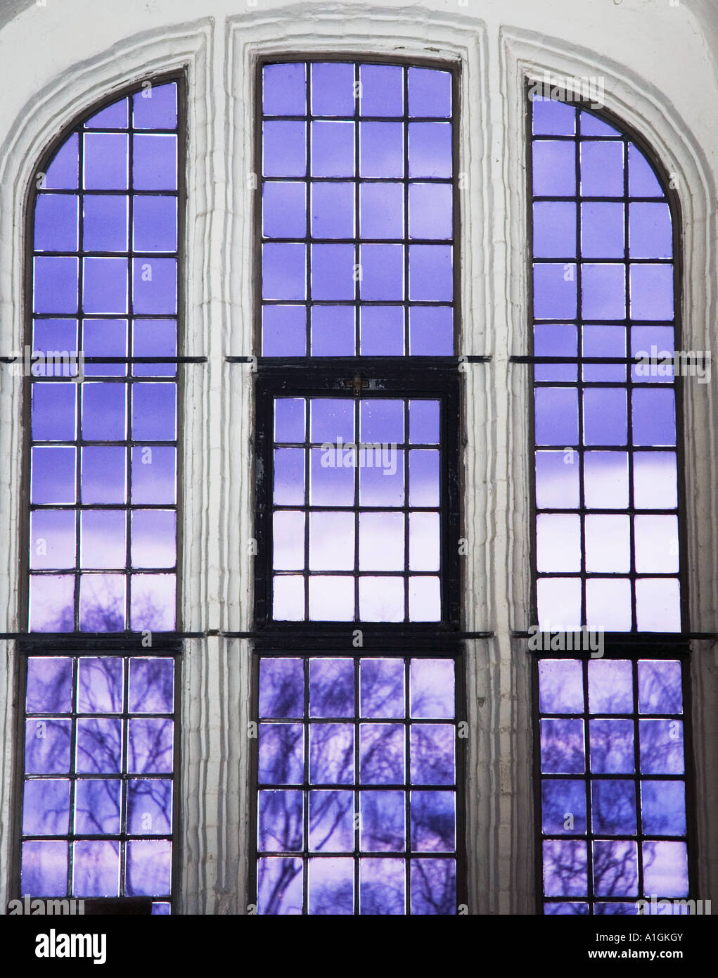 View of trees and sky through window tinted blue England Stock Photo ...