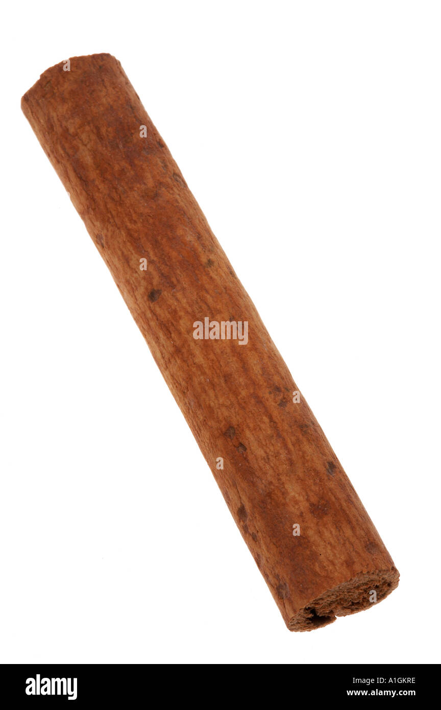 Single cinnamon stick Stock Photo - Alamy
