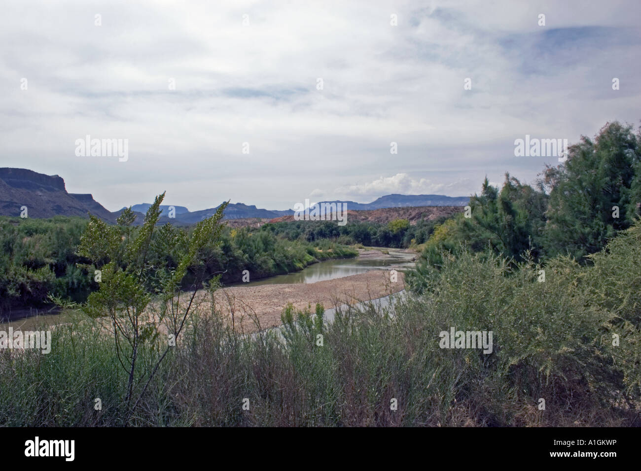 Vegetation along Rio Grande river at Texas Mexico border USA Stock ...