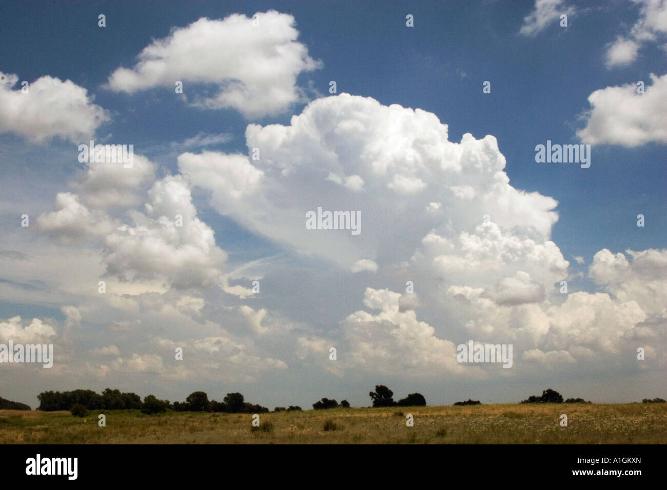 Cumulus clouds over prairie hi-res stock photography and images - Alamy