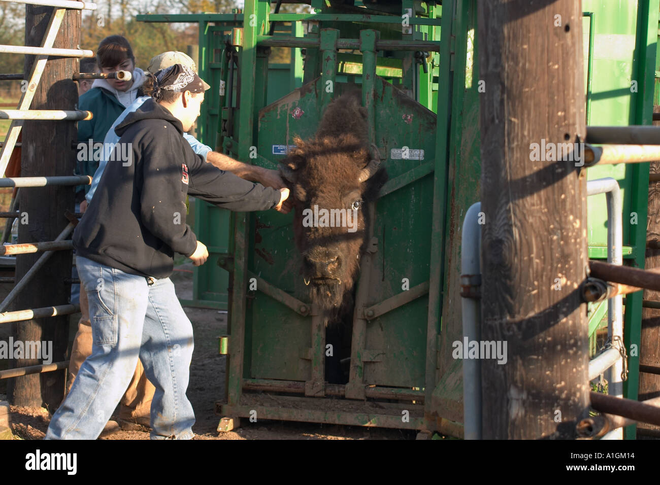 Readington river hi-res stock photography and images - Alamy
