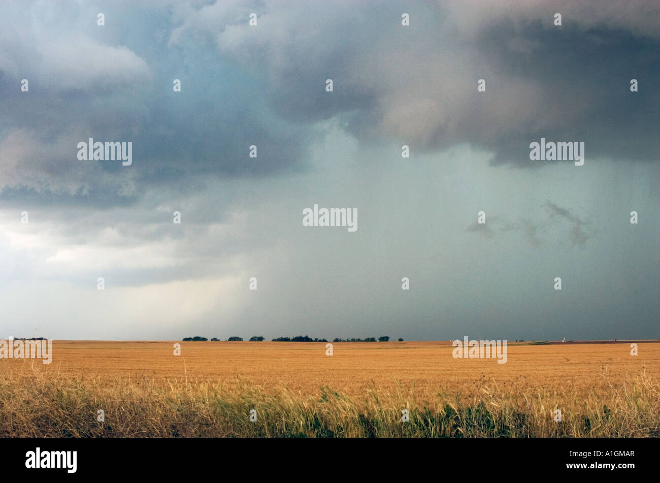 Thunderheads over grain field Nebraska USA Stock Photo - Alamy