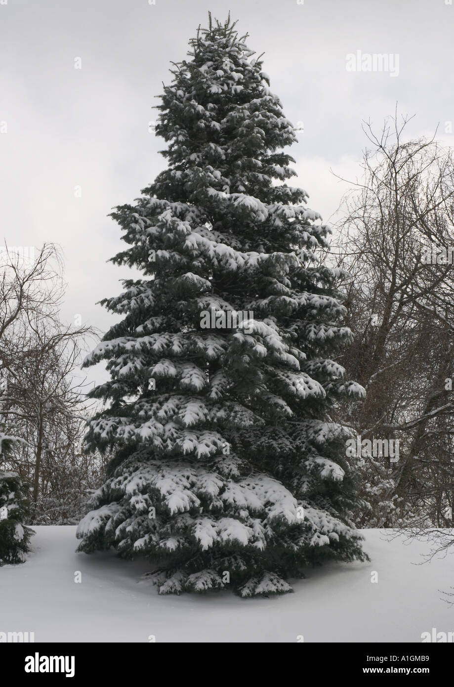Glinting snow hi-res stock photography and images - Alamy