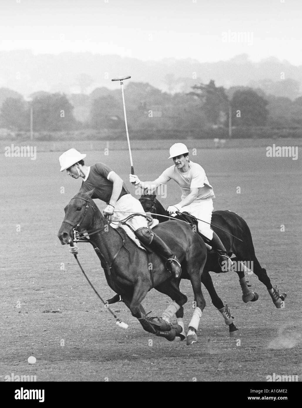 Prince charles polo horse hi-res stock photography and images - Alamy