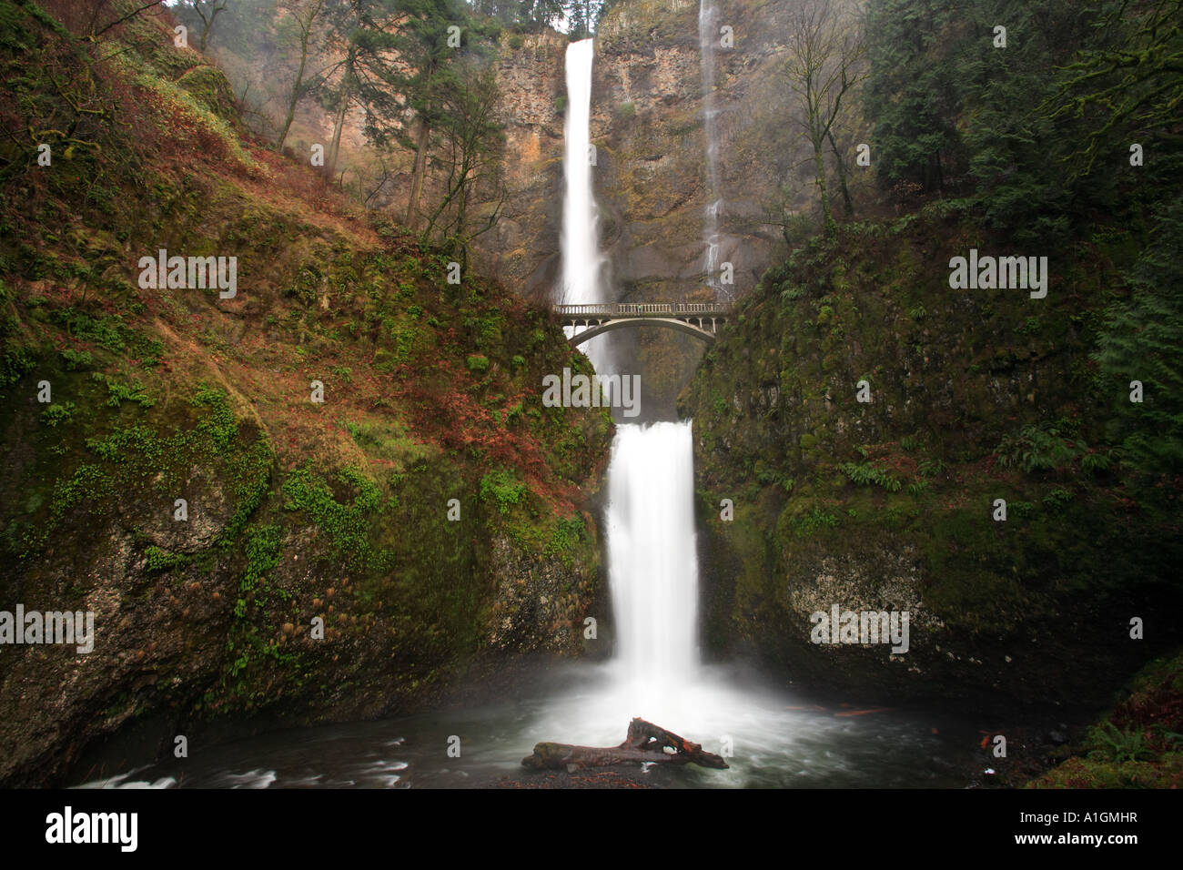 Multnomah falls Oregon Stock Photo - Alamy