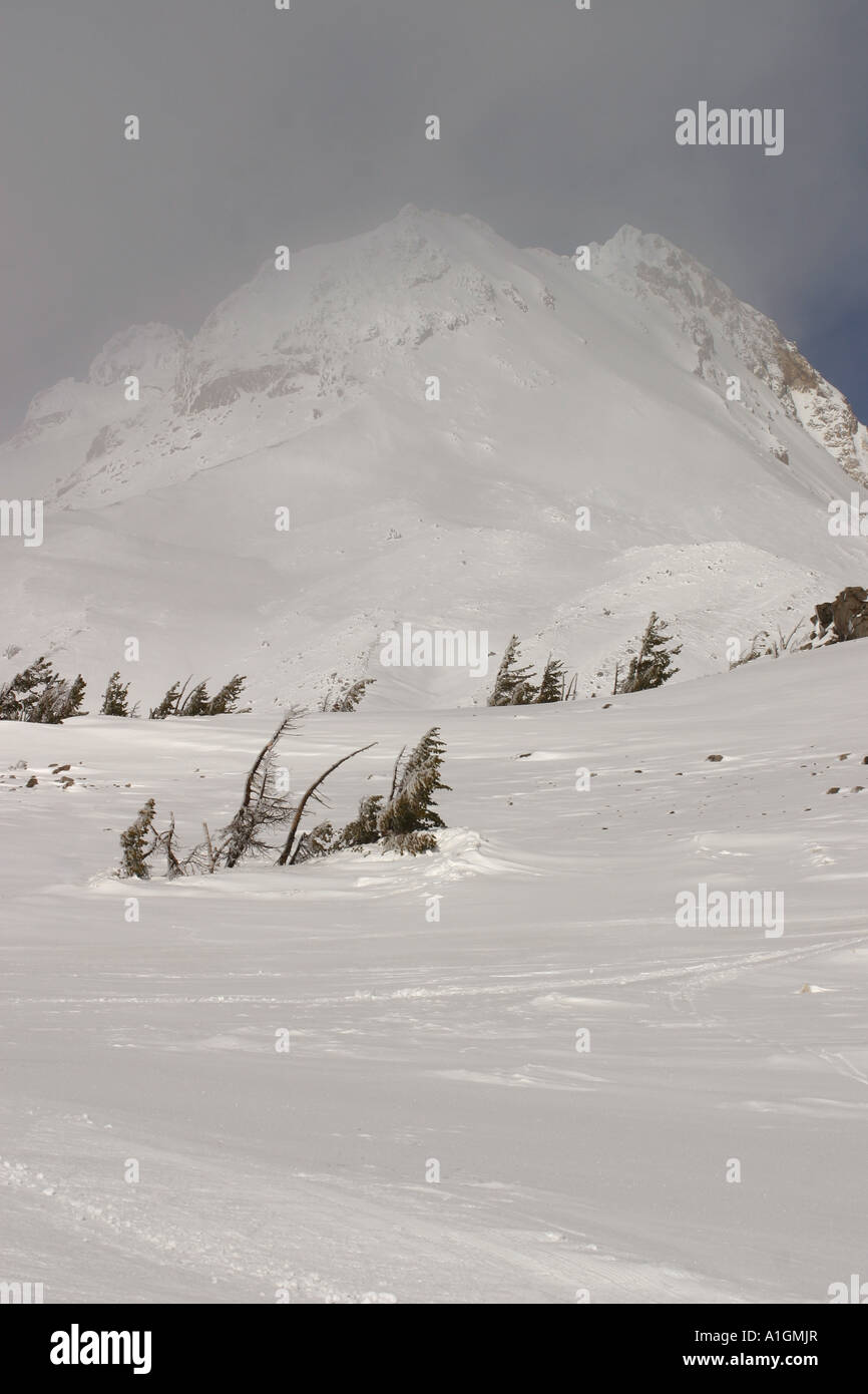 Summit of Mt Hood Stock Photo - Alamy