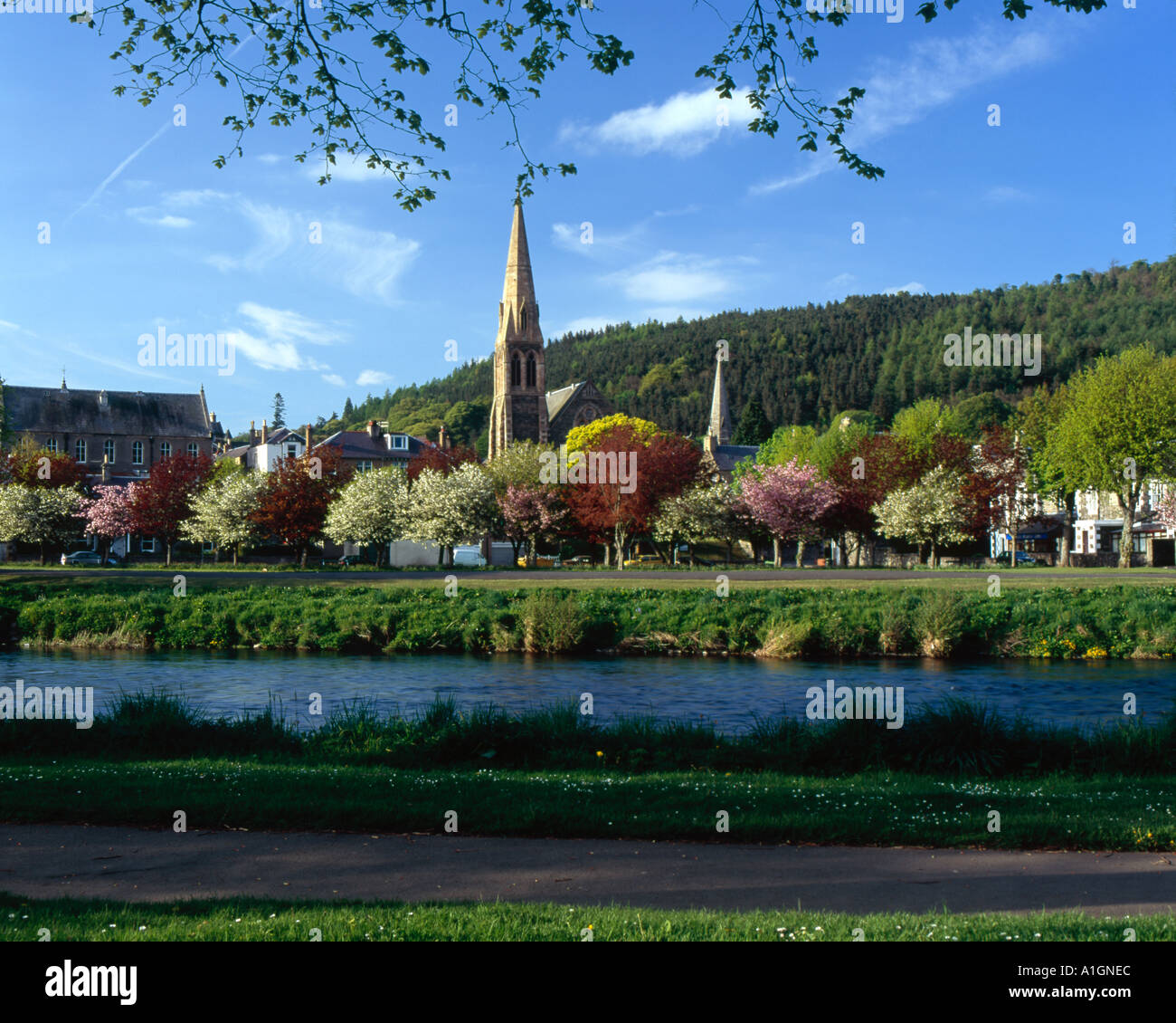 Spring in Peebles a town sitting in a beautiful valley of river Tweed ...