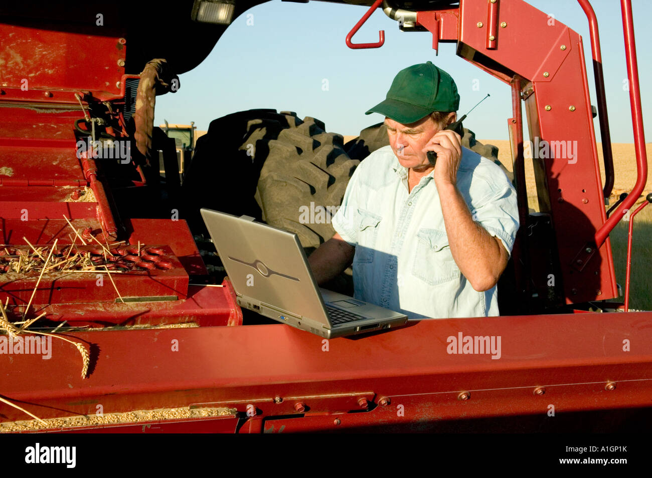 Farmer working on laptop computer, wheat harvest, International ...