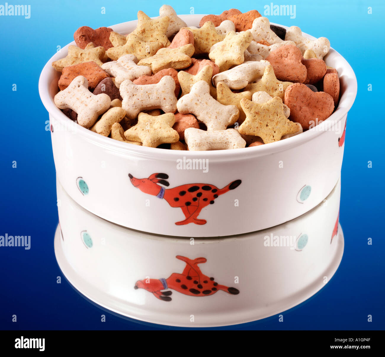 Dog dish hi-res stock photography and images - Alamy
