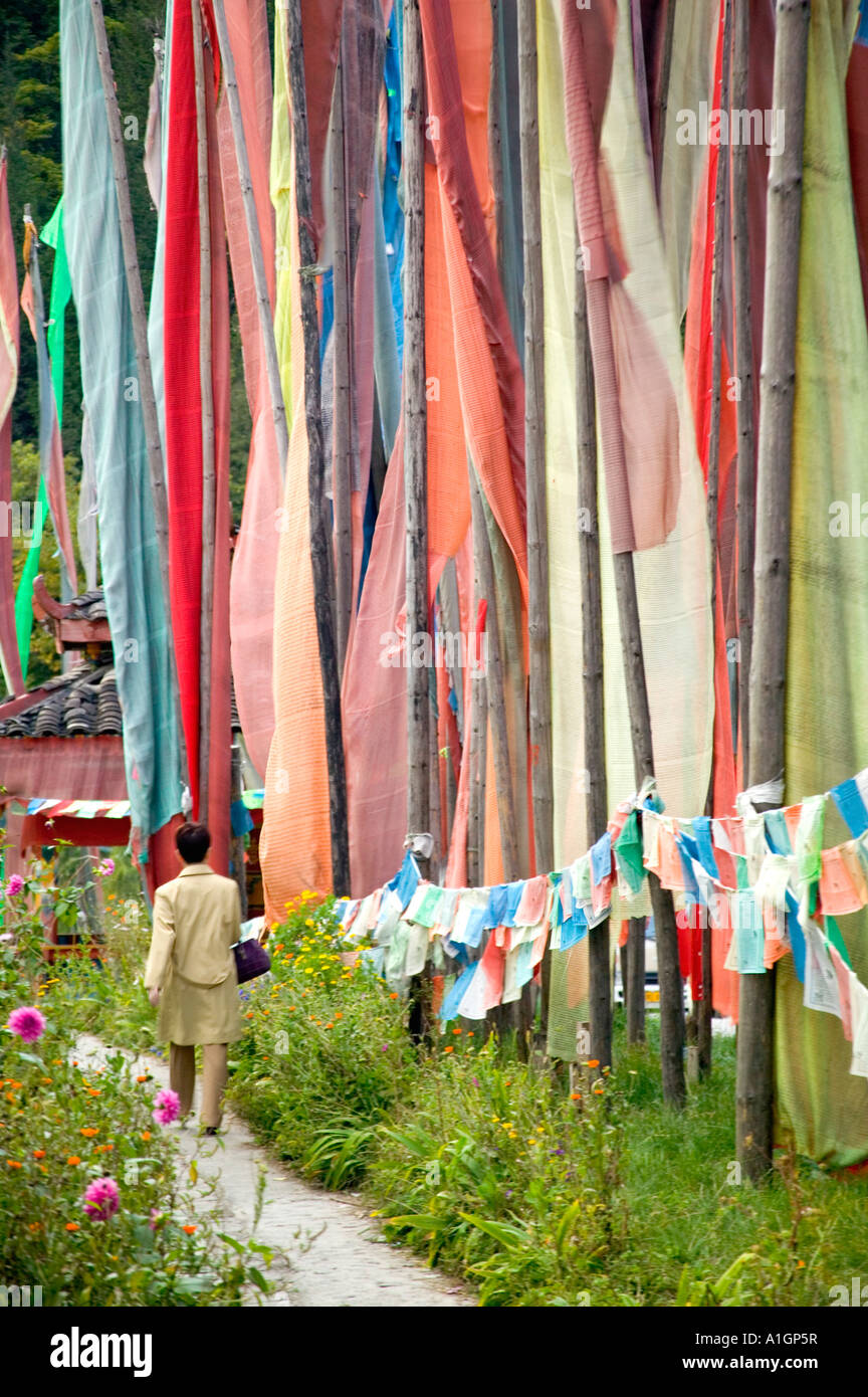 Prayer flags, Jiuzhaigou, China Stock Photo - Alamy