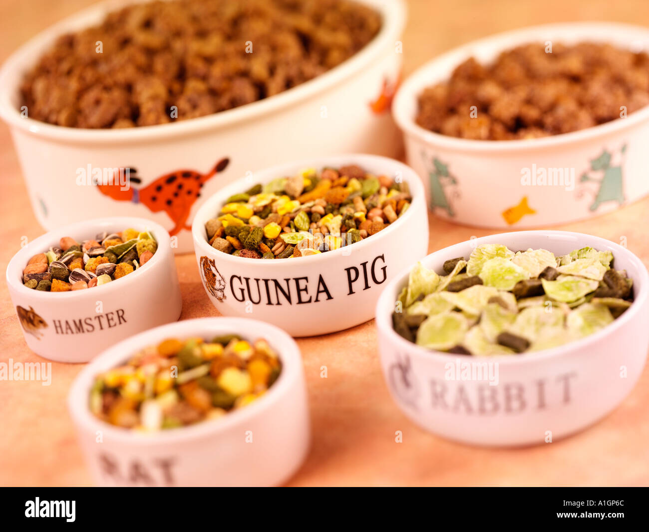 Pet food hi-res stock photography and images - Alamy