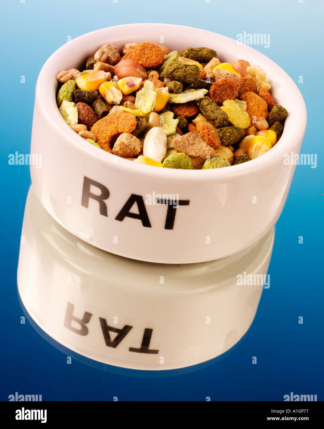 Dried rat hi-res stock photography and images - Alamy