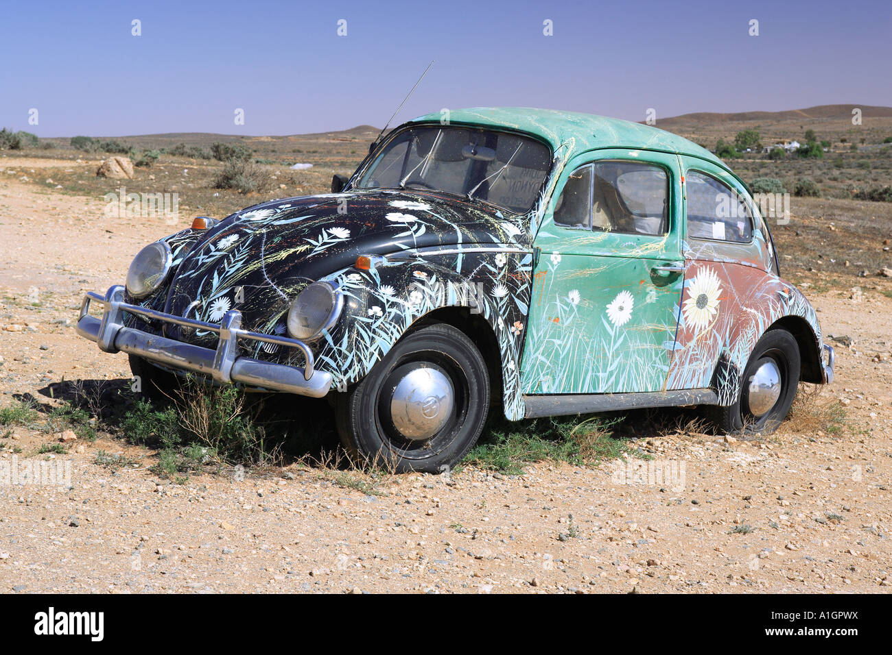 Flowers painted by artist John Dynon on Volkswagen in front of his Art ...
