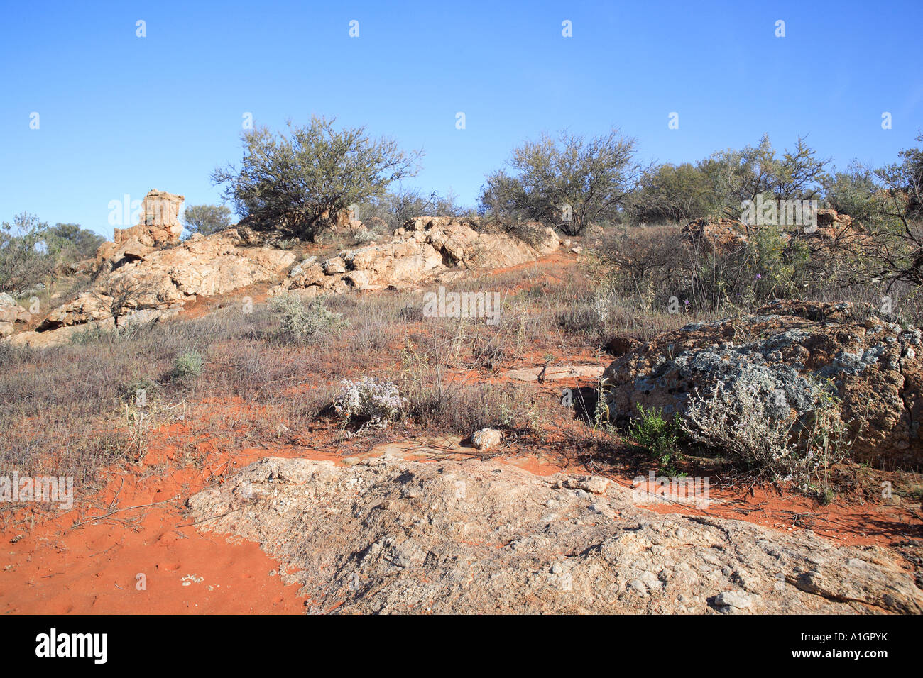 Semi arid desolate hills on the outskirts of Broken Hill New South ...