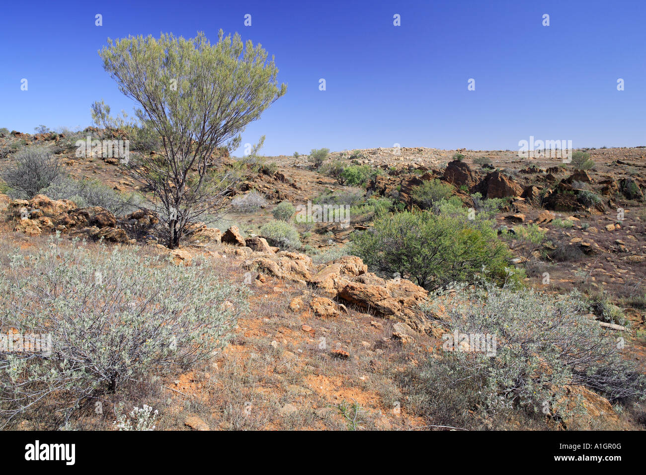 Semi arid desolate hills and path on the outskirts of Broken Hill ...