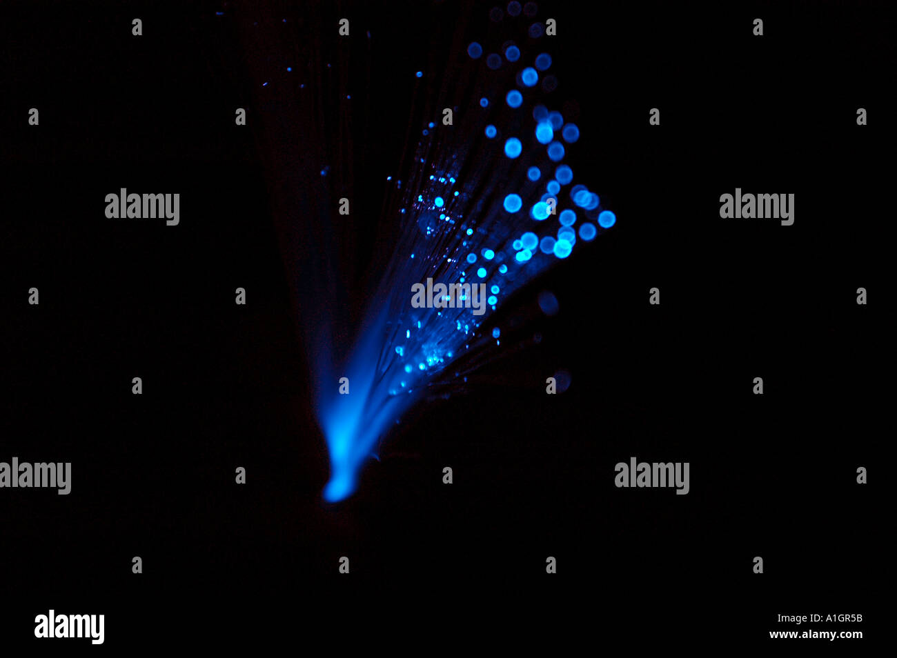 Art of Fiber Optic Light Stock Photo - Alamy