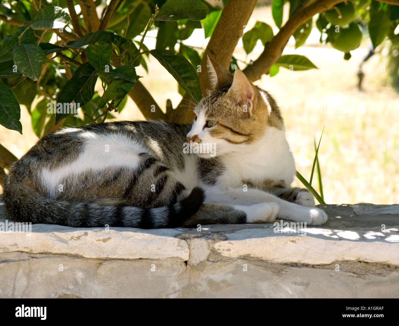 Situation aware hi-res stock photography and images - Alamy