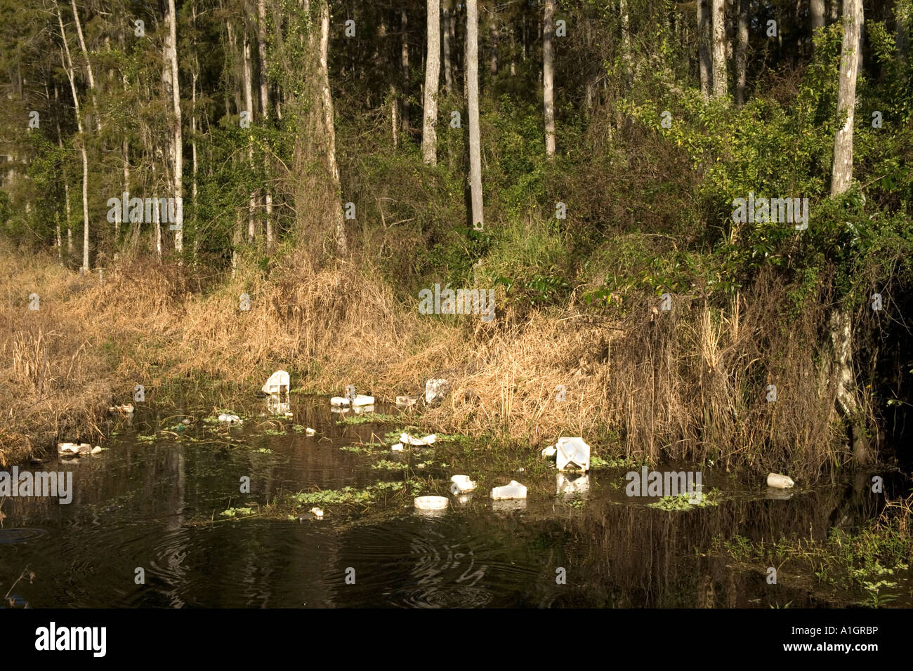 Trash 'Styrofoam, garbage' floating in waterway Stock Photo - Alamy